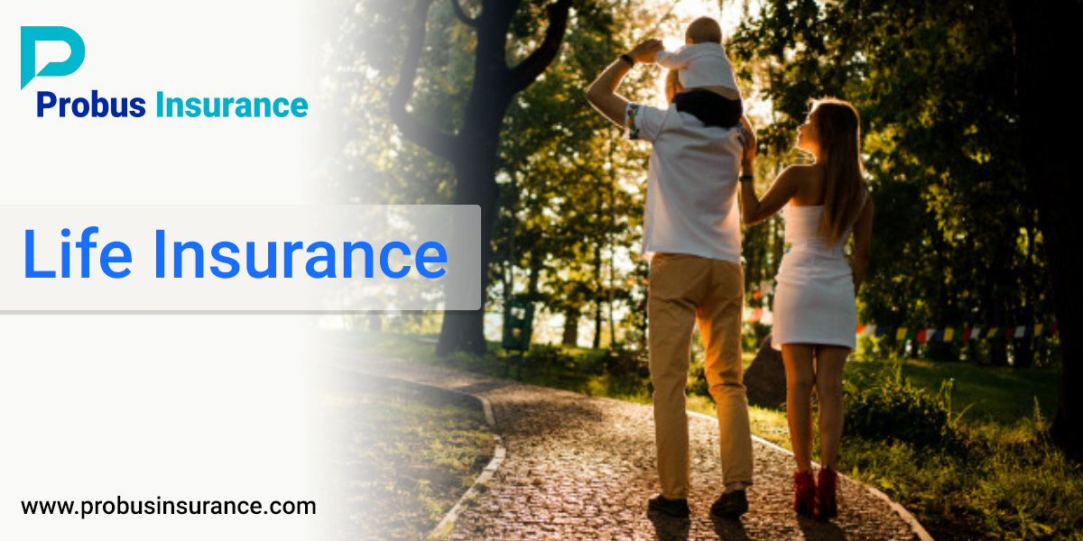 Whatsapp Terms and Conditions - Probus Insurance